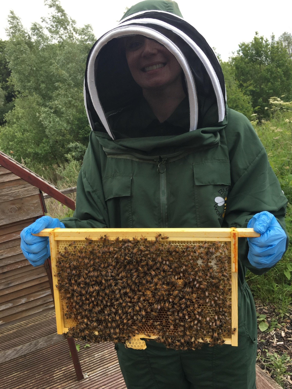 Meeting the bees - Cranfield University Blogs