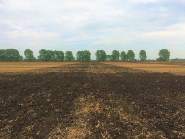 Soil, carbon and climate change - Cranfield University Blogs