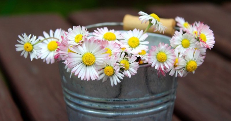 How to install the Bloomberg Excel Add-In - Cranfield University Blogs