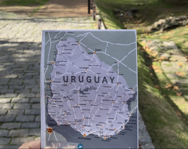 Unveiling Uruguay's Business Landscape and Cultural Tapestry - A ...