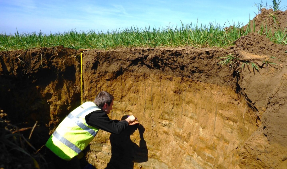 Introducing... W - Bloomberg's Security Worksheet function - Cranfield ...